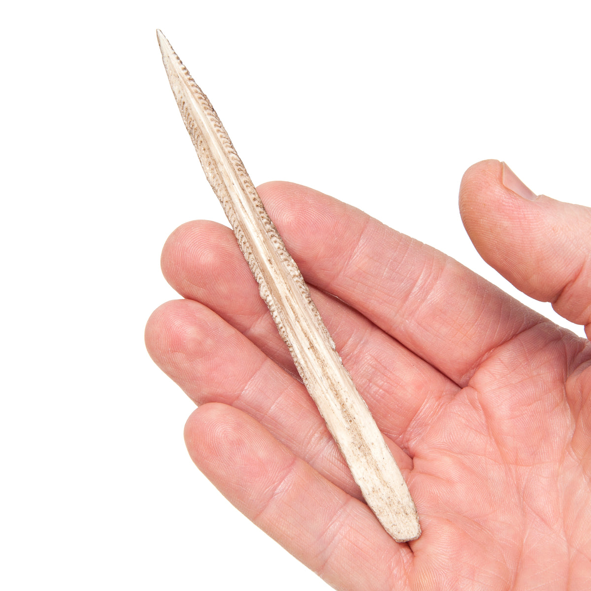 Resin Sting Ray Barb Replica – Panic Mechanics