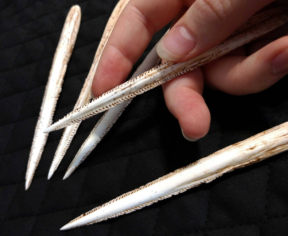 Resin Sting Ray Barb Replica – Panic Mechanics